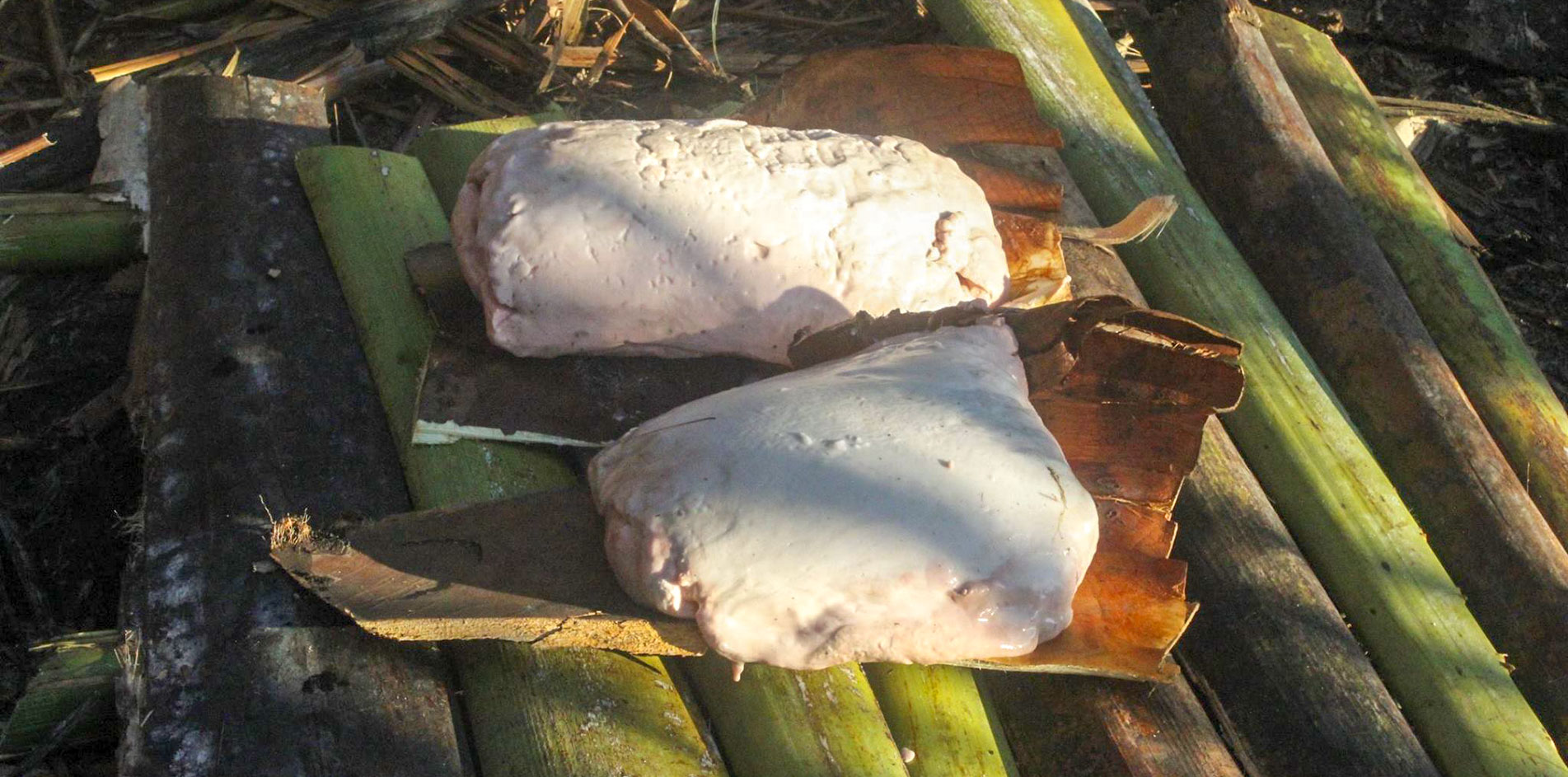 Papua food | Papua Travel guide